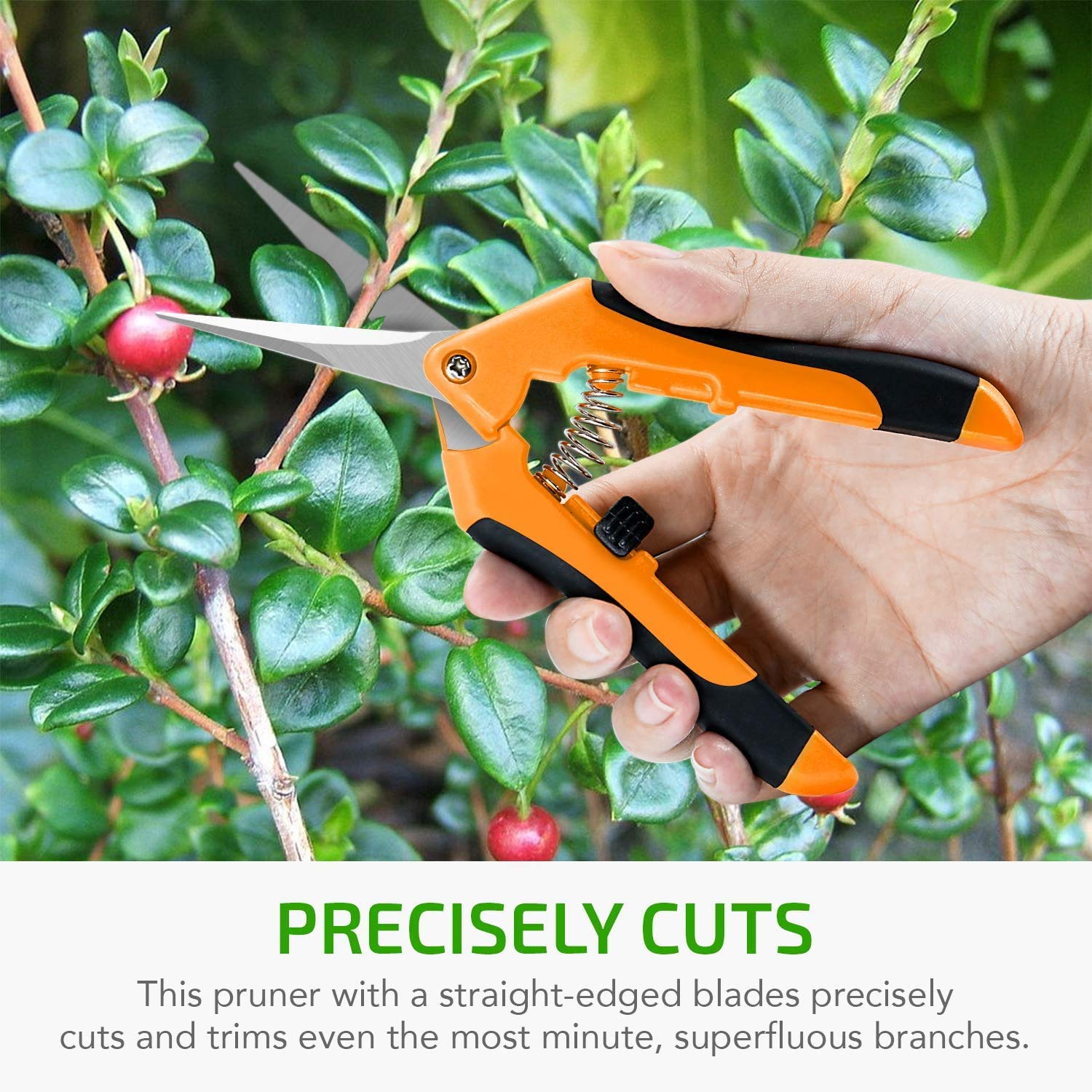 iPower GLPRNR6ORV1 6.5 Inch Gardening Pruning Shears Hand Scissors with Straight Stainless Steel Blades for Trimming Herbs, Flowers, Bonsai, 1-Pack, Orange