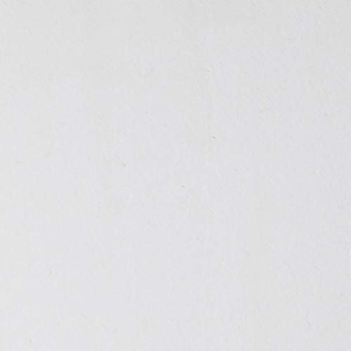 Rust-Oleum 247596 Magnetic Primer 30 oz
