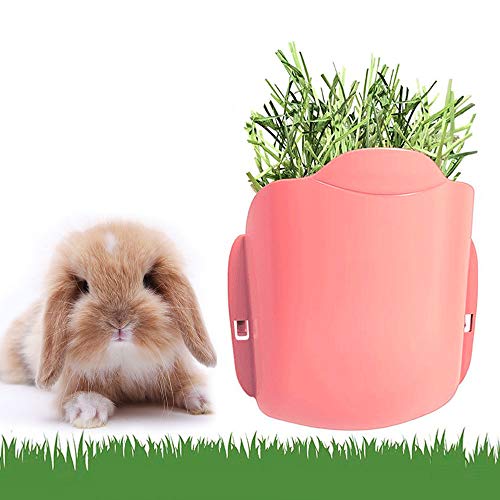 Small Animals Food Feeder, Rabbit Hay Feeder, Guinea Pig Hay Rack Rabbit Hay Manger Rodent Food Scoop Chinchilla Shelf Cage Accessories