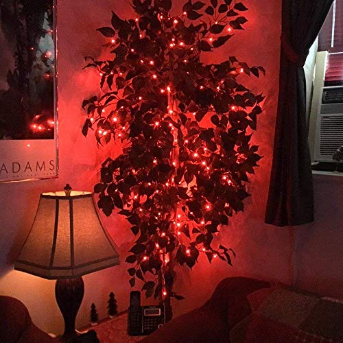 Dolucky Solar String Lights Outdoor, 1Pack 72ft 200 LED Red Solar Fairy Lights, Waterproof Solar Powered Copper Wire String Lights for Yard Home Holiday Party Decor (RED)