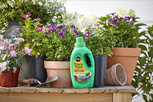 Miracle Gro 1006002 32 Oz Pour & Feed Liquid Plant Food 0.02-0.02-0.02