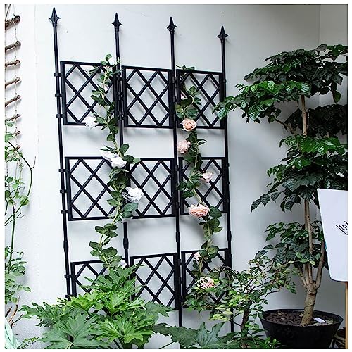 NOIRDA Outdoor Mesh Flower Stand, Rose Trellis with PE Grid, 130cm, 180cm,220cm Height Garden Climbing Frame for Flower Bed Lawn Patio Privacy Decoration (Color : Black, Size : 30x220cm)