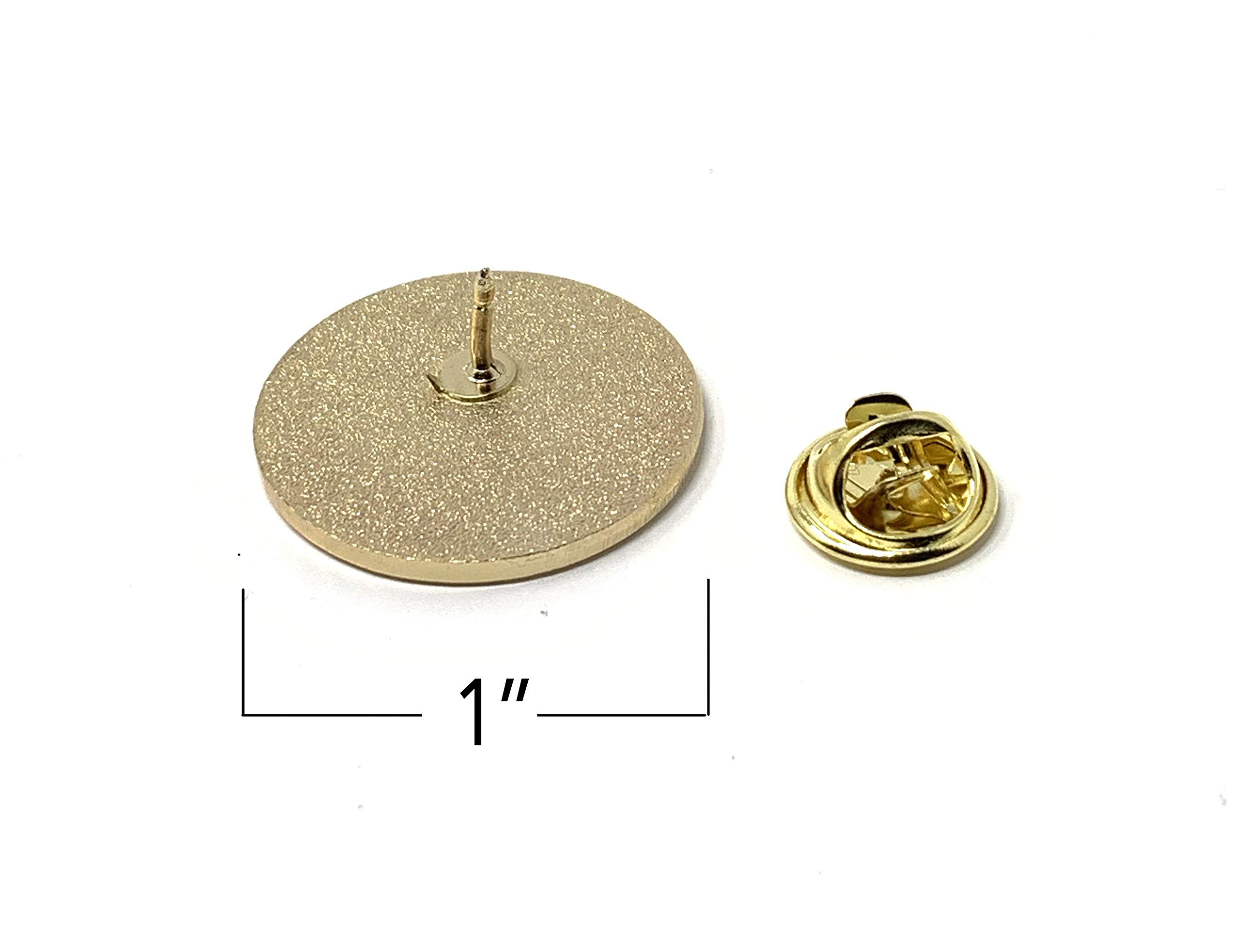 EMI Registered Nurse Rn Caduceus and Rn Round Emblem 2 Item Pin Set