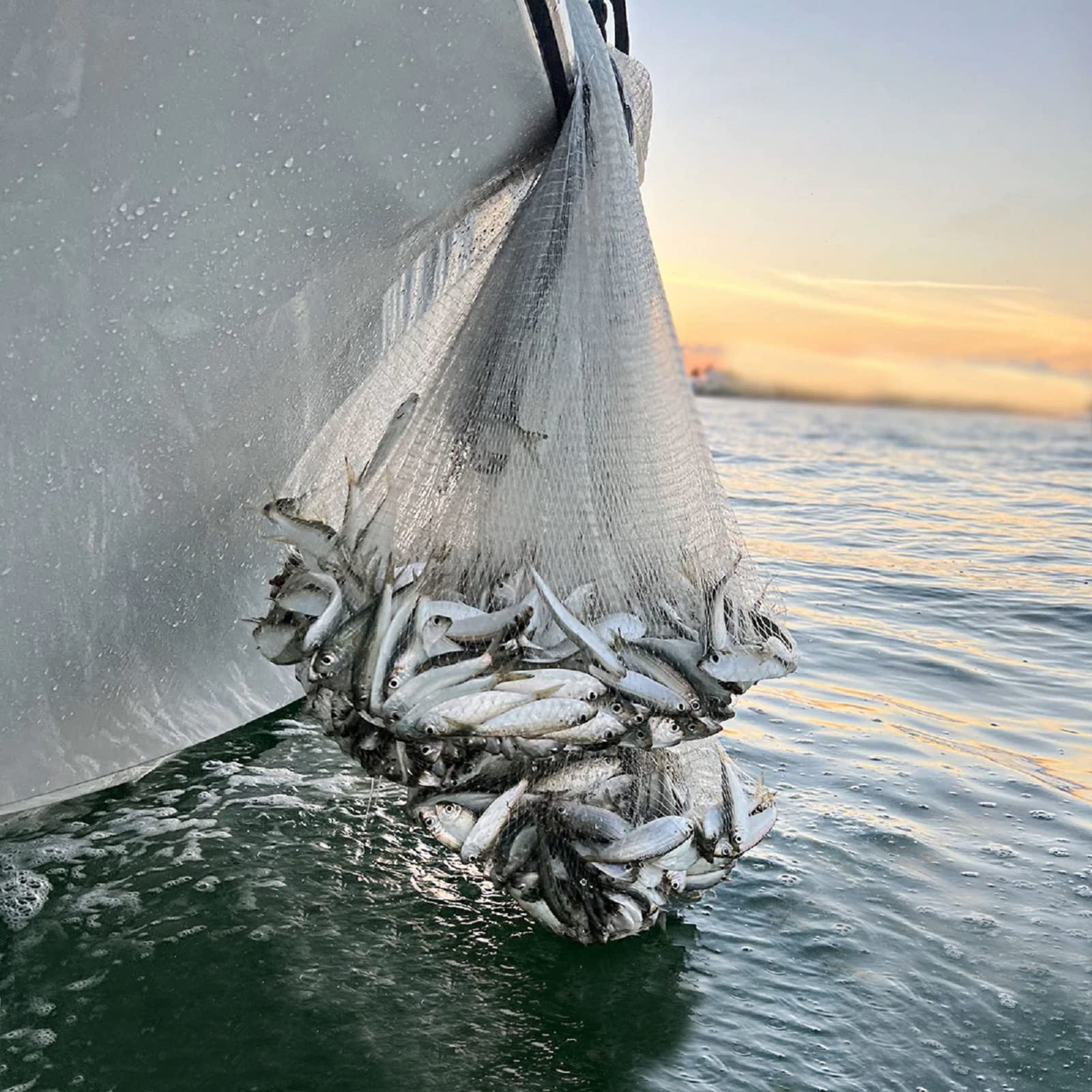 FunVZU Fishing Cast Net - Nylon Casting Fish Throw Net 6ft/7ft/8ft - Heavy Duty Weight Cast Net for Fishing - Fish Cast Net for Bait Trap
