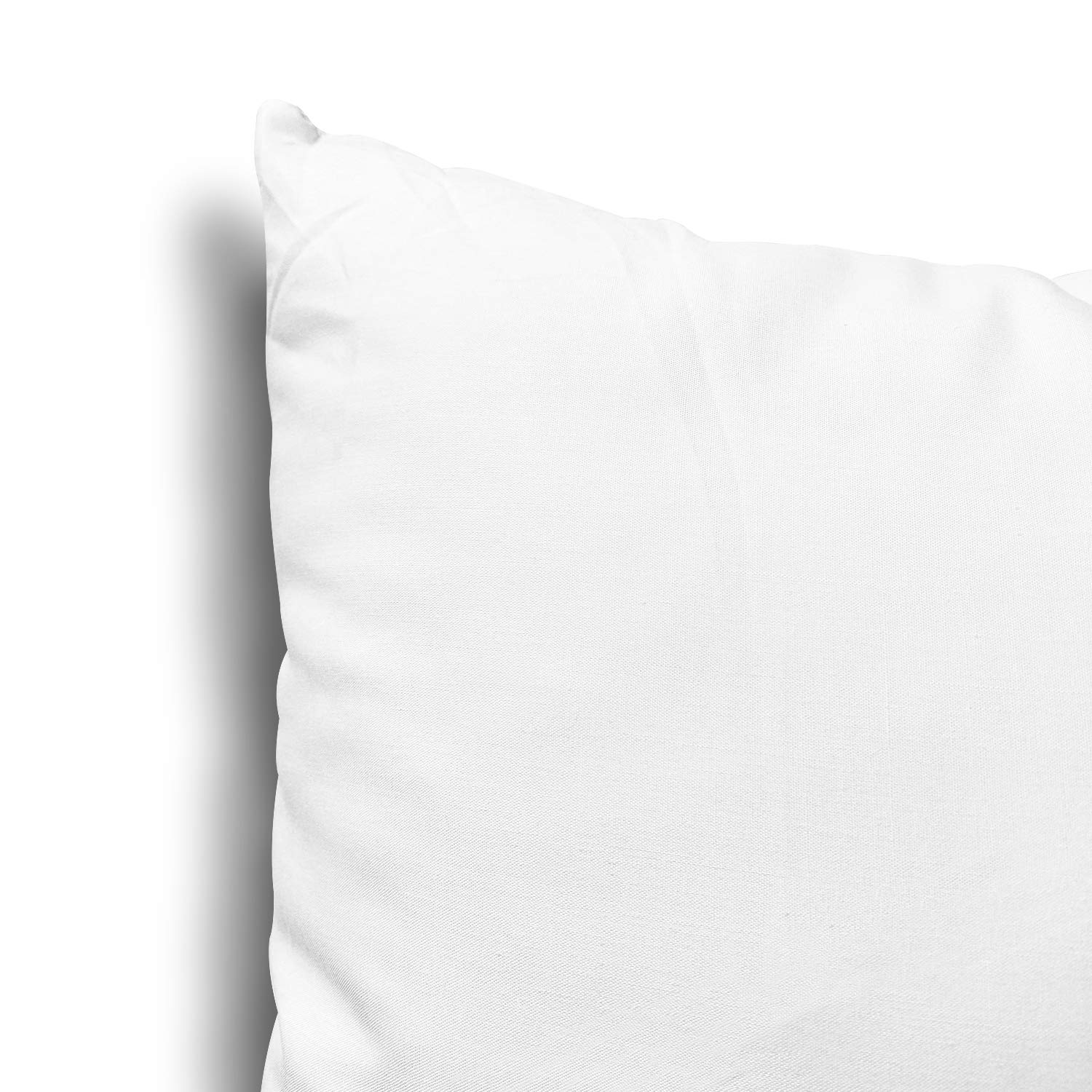 EDOW Throw Pillow Insert, LightweightâSoft Polyester Down Alternative Decorative Pillow, Sham Stuffer, Machine Washable. (White, 18x18)