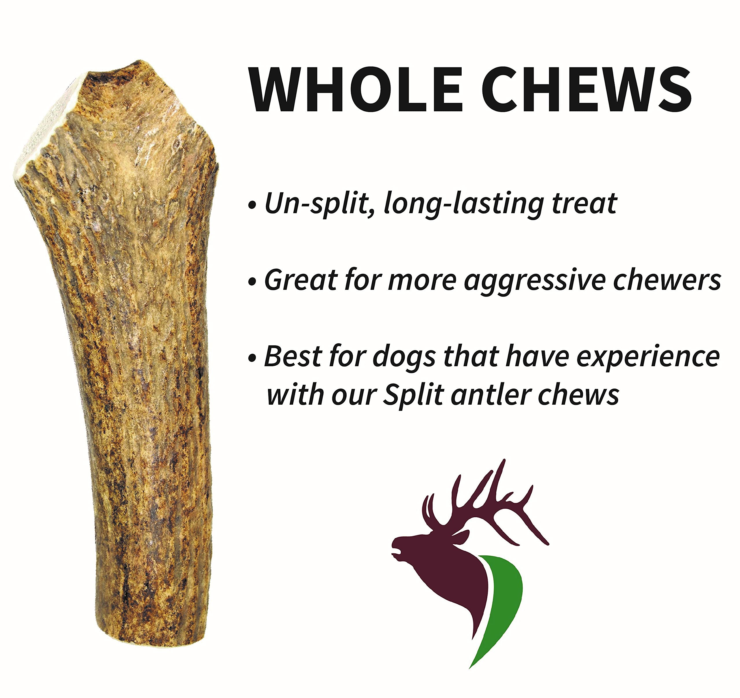 Elkhorn Premium Chews - Giant Whole Single Pack (for 75+ lb Dogs) Premium Grade Elk Antler for Dogs (1 Piece) Sourced in The USA