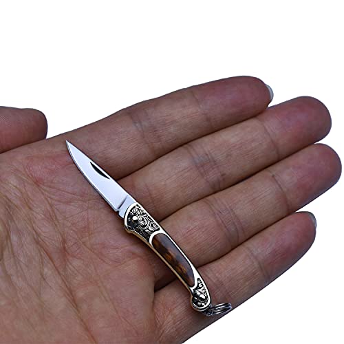 JPCRMOV Mini Pocket Knife for Men, Smallest Folding Knife Keychain Knife Tiny EDC Micro Lightweight 9g