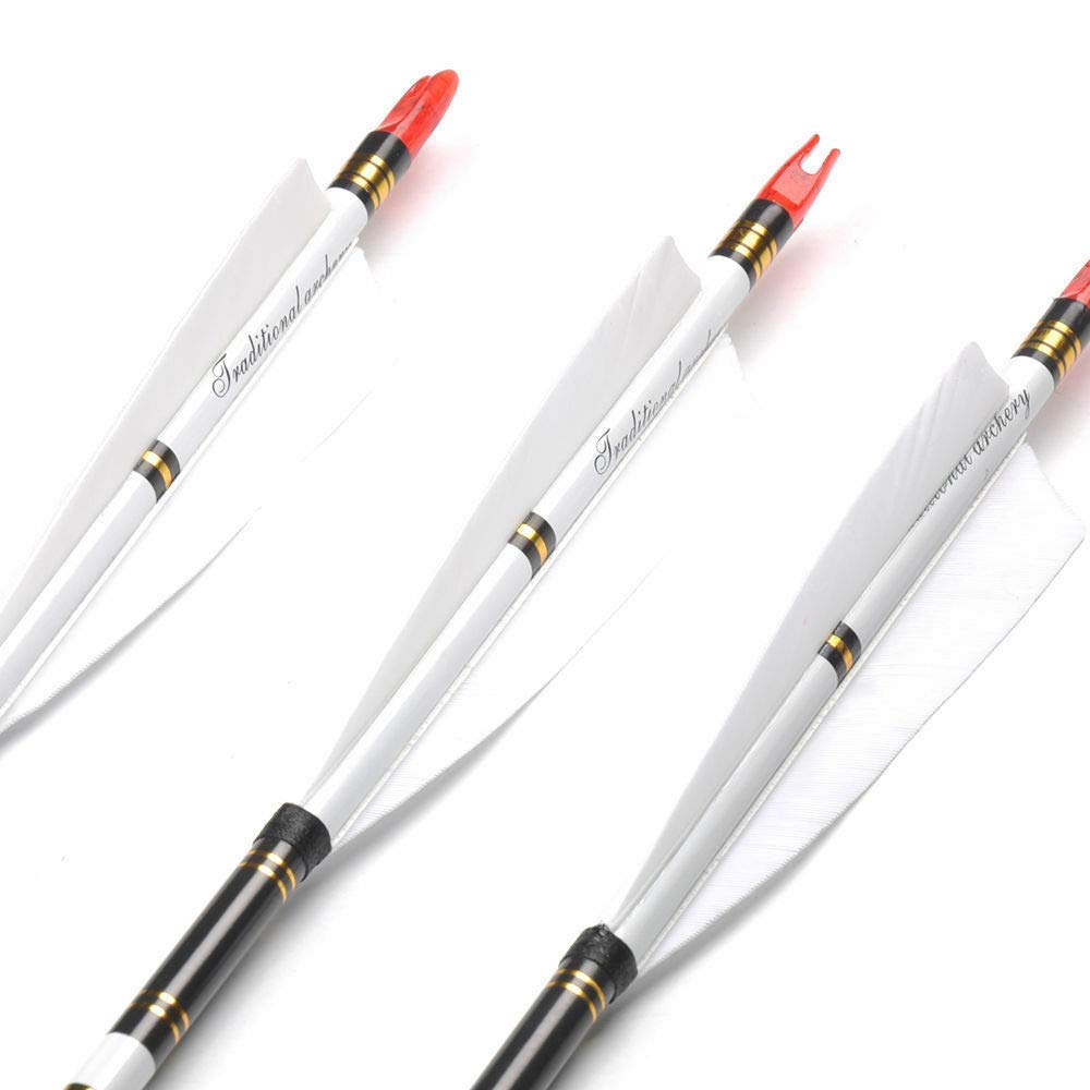 EROCK Archery Arrows 30inch Pure Carbon Arrows 500 Spine Turkey Feather Fletching Screw-in Field Points Targeting Arrows for Recurve Bow Compound Bow 12 Pack