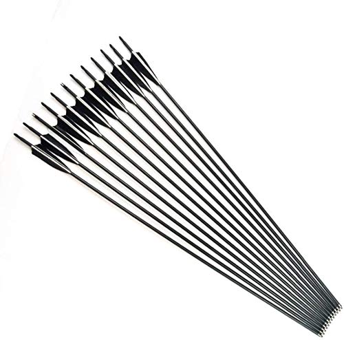 EROCK Carbon Shaft Archery Arrows 32inch with Black-White True Feather Spine 500 for Recurve Compound Bow Hunting Shooting Target Practice (6 Pack)