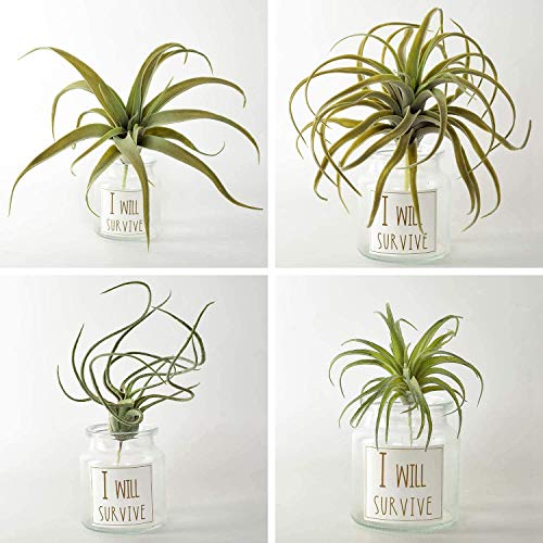 Facibom 4Pack Artificial Pineapple Grass Air Plants Fake Flowers Faux Flocking Tillandsia Bromeliads Home Garden Decor