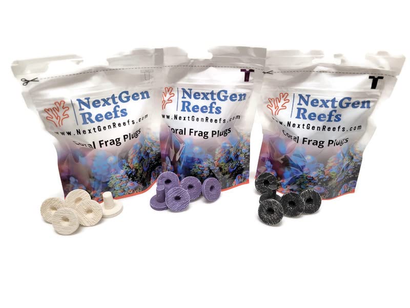 NextGen ReefsĀ® 1" Ceramic Natural White Coral Frag Plugs 25pc