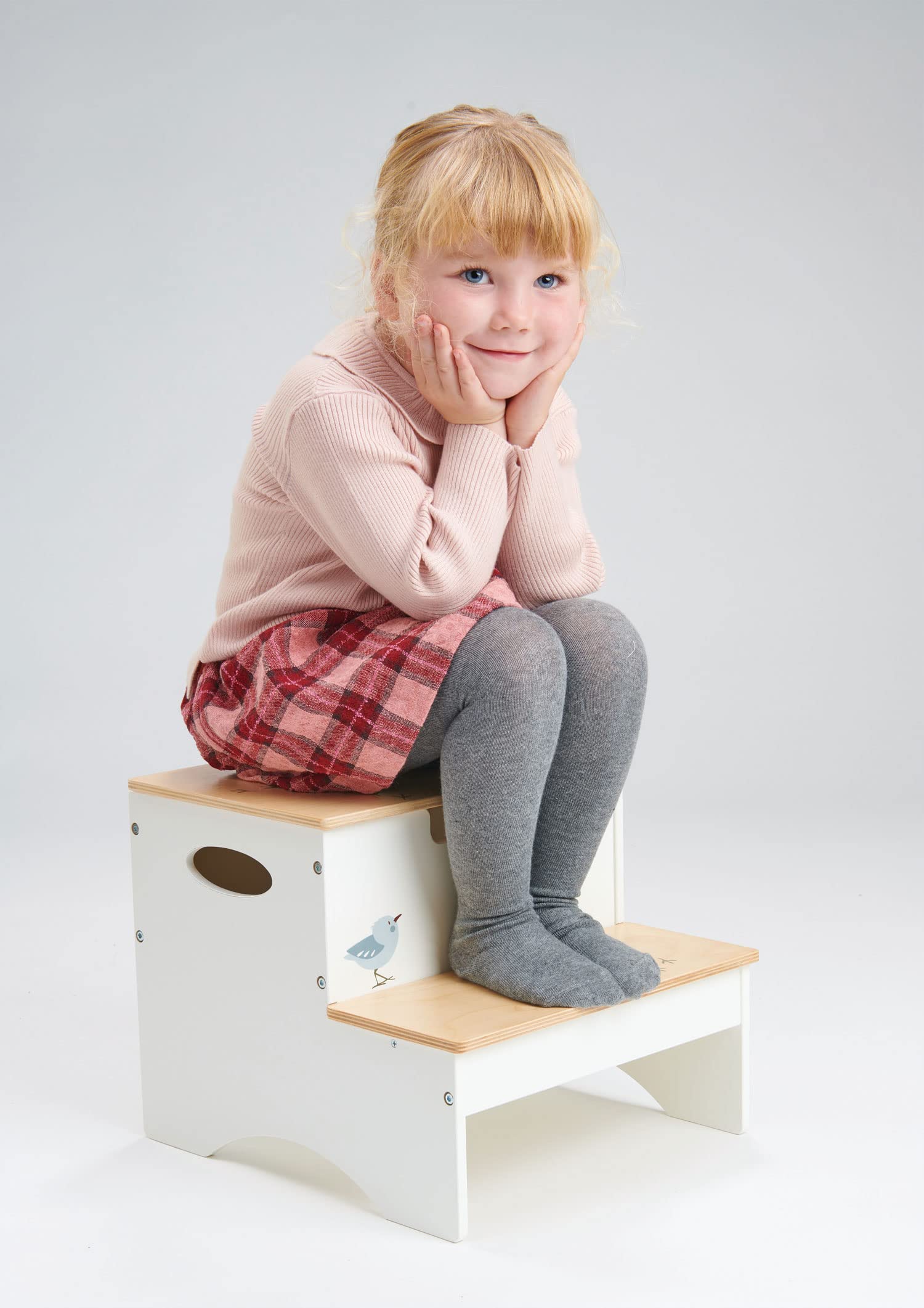 Tender Leaf Toys - Forest Steps - Lightweight and Portable Step Stool for Kids with Storage Space and Handles - Easy to Move, Great for Home, Kitchen, Nursery Room, and Countertop - Age 3+