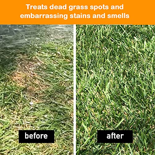 MICROBE-LIFT Outdoor Pet Odor Eliminator For Strong Odor On Turf, Patios, Deck, and Lawns - Keeps Pets From Going in Same Spot, 32oz