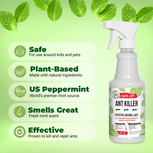 Mighty Mint - 16oz Natural Peppermint Oil Ant Killer and Repellent Spray - Safe for Indoor/Outdoor Use