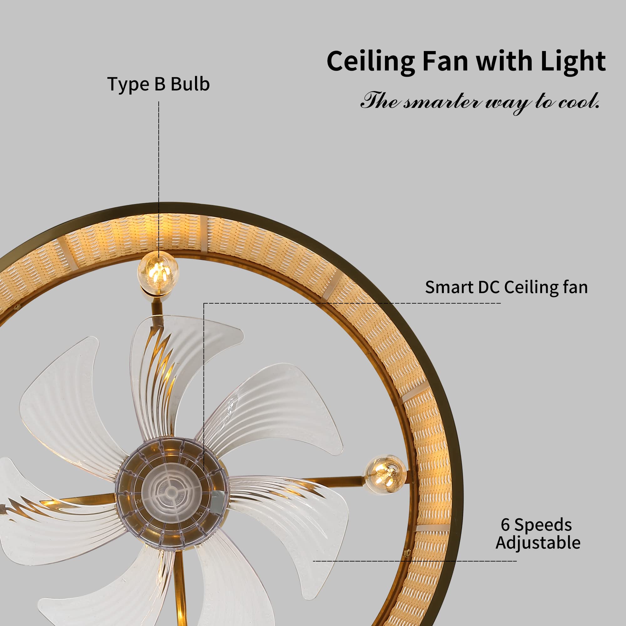 ELEHINSER Caged Ceiling Fan with Light and Remote Control, 12" Enclosed Flush Mount Rattan Ceiling Fan, Farmhouse Low Profile Ceiling Light Fixtures Fandelier Bladeless Fan for Bedroom, Kitchen