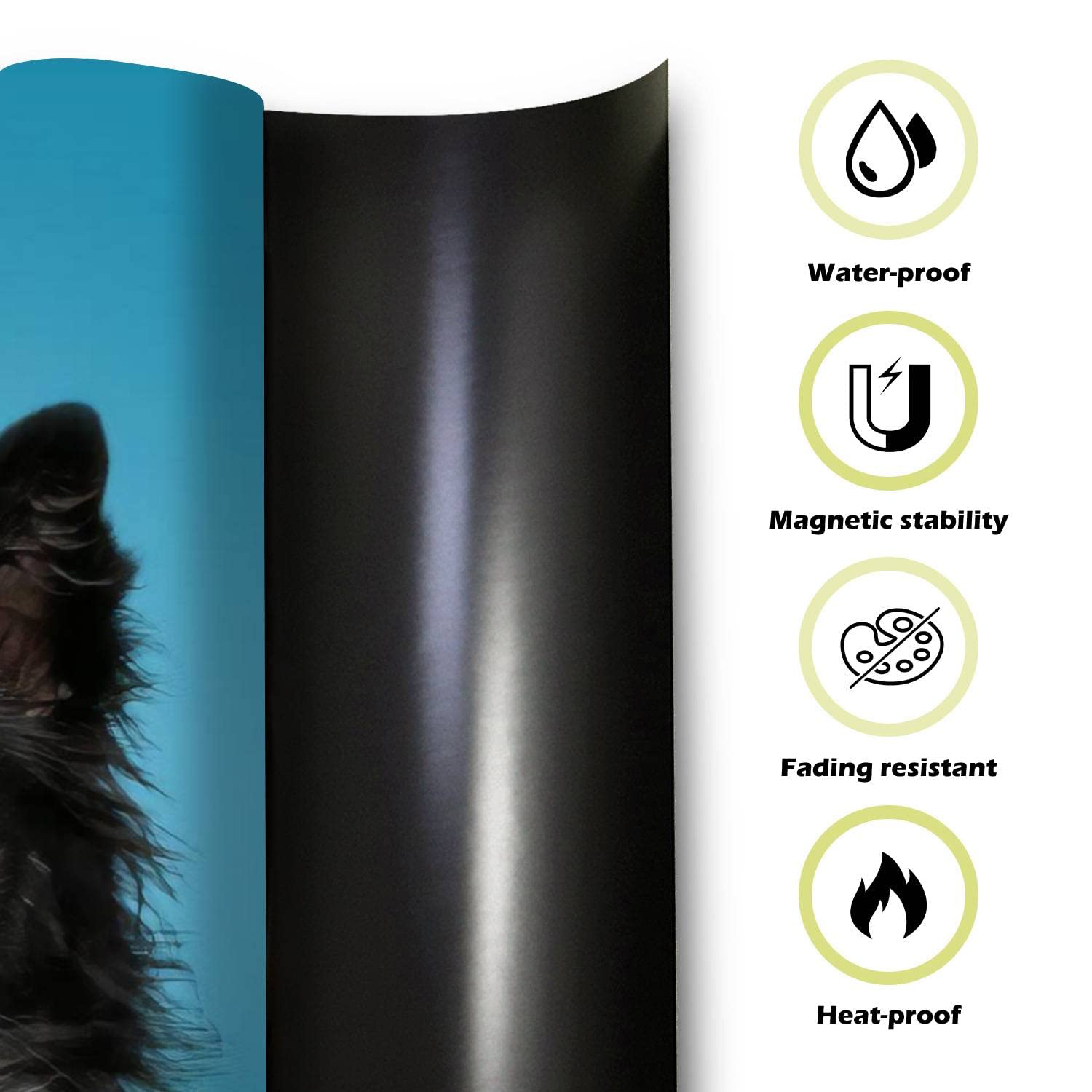 Dishwasher Magnet Sticker Border Collie Dog Portrait with a Hiding cat Behind Magnetic Refrigerator Sticker Appliance Covers Home Kitchen Decor for Fridge Metal Door Garage 23x26in