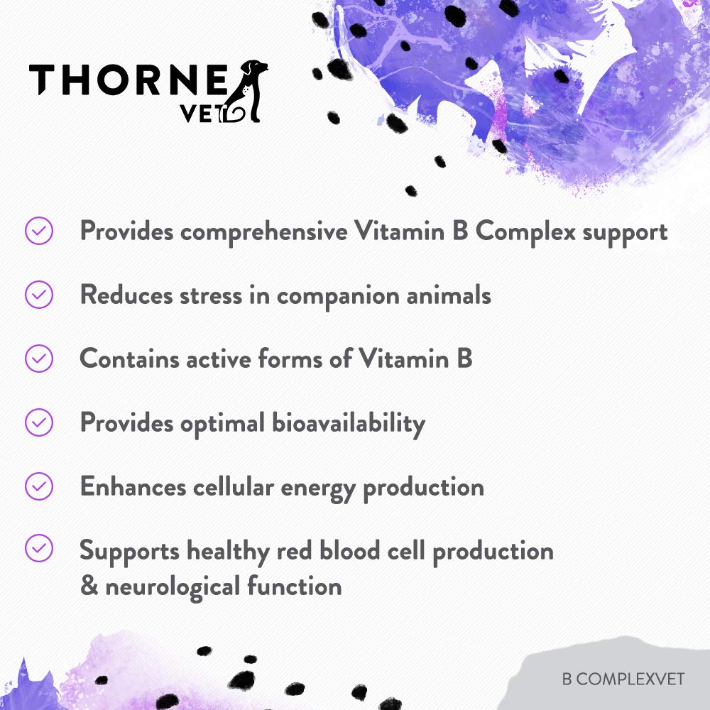ThorneVET B ComplexVET β Vitamin B Complex Support for Dogs, Cats & Horses, 60 Soft Chews