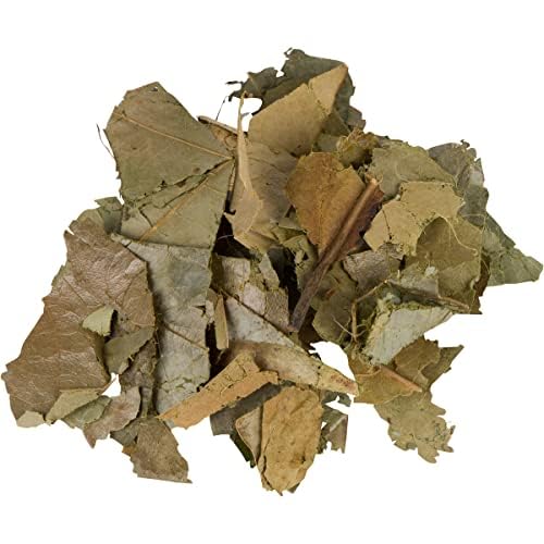 Graviola Tea 25 Teabags of Natural Soursop Leaves or Hojas de Guanabana from Peru β Herbal Tea te guyabano