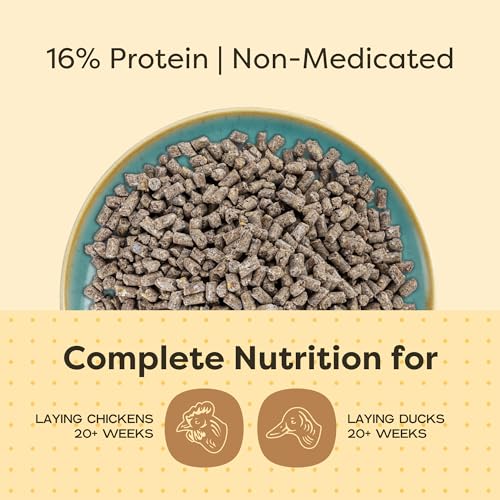 Scratch and Peck Feeds Organic Layer Pellets 16% - Premium Chicken and Duck Feed Formulated with Sustainable Grub Protein, Vitamins, and Minerals β 25 lbs