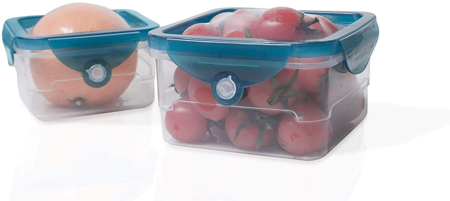 Handy Gourmet Flexi-Top Reusable Containers, BPA Free - Square, Set of 2