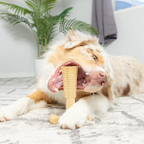 SPOT Bam-Bones Plus T Bone - Bamboo Fiber & Nylon, Durable Long Lasting Dog Chew for Aggressive Chewers – Great Toy for Adult Dogs & Teething Puppies Under 90lbs, Non-Splintering, 7in Chicken Flavor