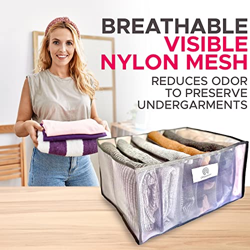 ORGANIDY Wardrobe Clothes Organizer for Underwear - Closet Organizers and Storage, Storage Drawers, and Organizer Bins - 6 Grids for Bras, Socks, and Jeans - 11.8" x 14.2" x 7.9", Clear Mesh 2-Pack