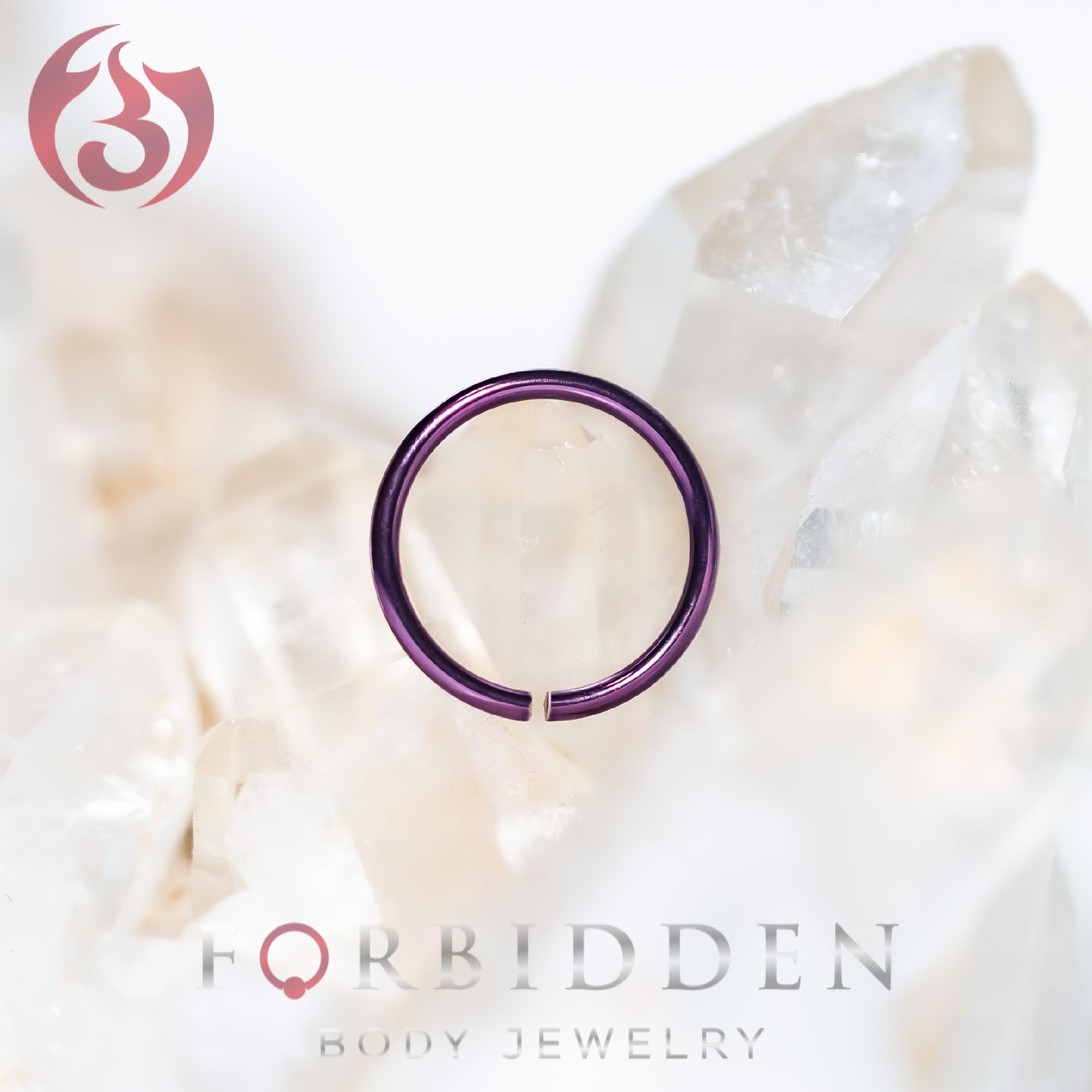 Forbidden Body Jewelry 20g Surgical Steel Titanium IP Purple 8mm Small Nose Hoop
