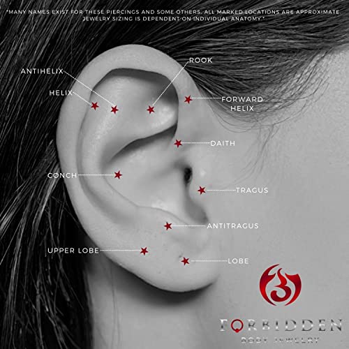 Forbidden Body Jewelry Set of 2 Styles Cartilage Hoop Earrings: 16g 3/8 Inch Surgical Steel Plain & Black CBR Hoops