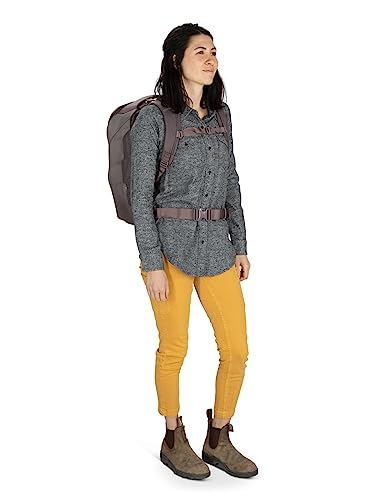 Osprey Sojourn Porter 30L Travel Backpack, Koseret Green, One Size