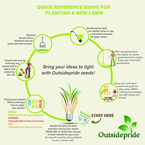 Outsidepride Legacy Fine Fescue Shade Tolerant, Soft, Turf, Lawn Grass Seed Blend - 5 LBS