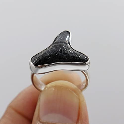Fossilized Shark Tooth Ring Handmade 925 Sterling Silver Dainty Shark Tooth Ring Jewelry Best Gift (Shark Tooth, 7)