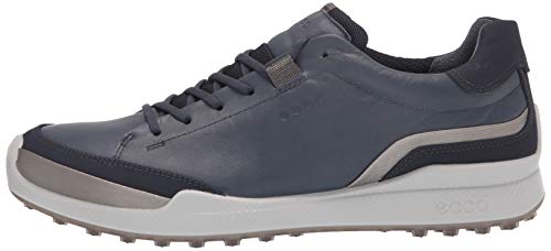ECCO Men's Biom Hybrid Hydromax Water-Resistant Golf Shoe, Ombre/Buffed Silver/Night Sky, 10-10.5