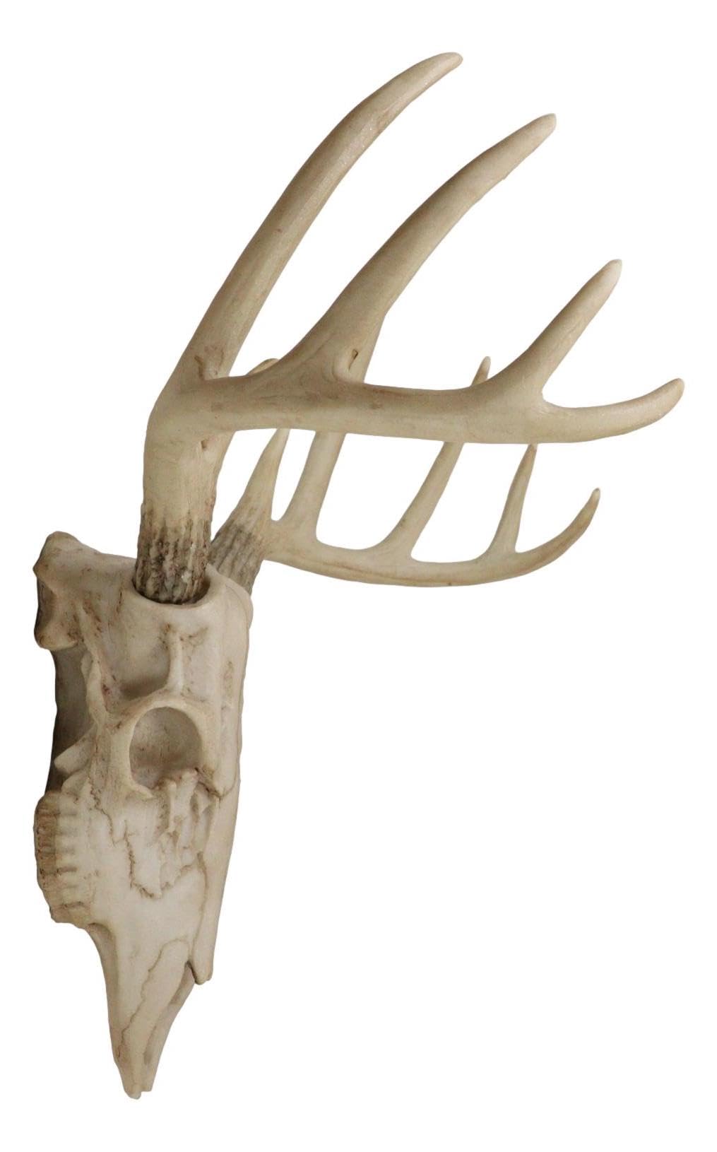 Ebros Gift Rustic Hunter Deer 10 Point Buck Skull Trophy Antlers Wall Mounted Plaque Trophy Decor Figurine 14.25" Long Hunter's Antler Rack Theme Deers Bucks Hunting Skulls Trophies Hanging Sculptures