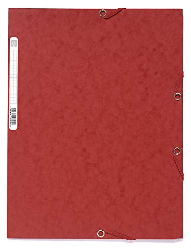 Exacompta 55510AMZE Elasticated Folders with 3 Flaps Glossy Card 10 + 1 Free 24 x 32 cm 400 g 10 Assorted Colours Pack of 11