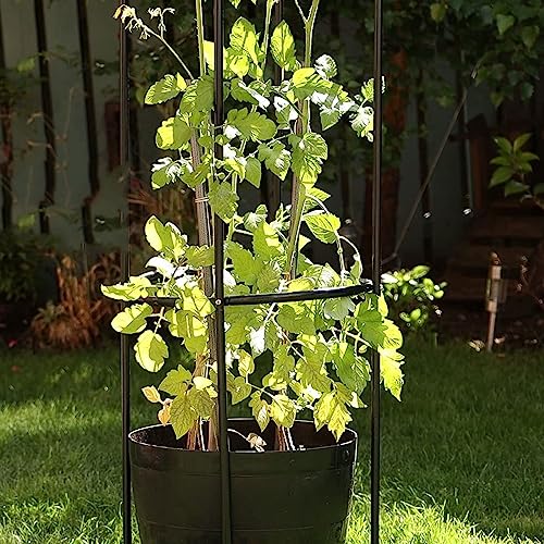 Metal Garden Obelisks Trellis for Climbing Plants Outdoor,1.85m Plastic-Coated Steel Frame Trellis Planter,for Rose Vine (Black)