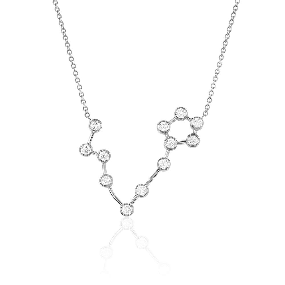 espere Sterling Silver Zodiac Necklace Constellation Jewelry Birthday Gift Sorority Sister Gift [Pisces - Feb 19 - Mar 20]