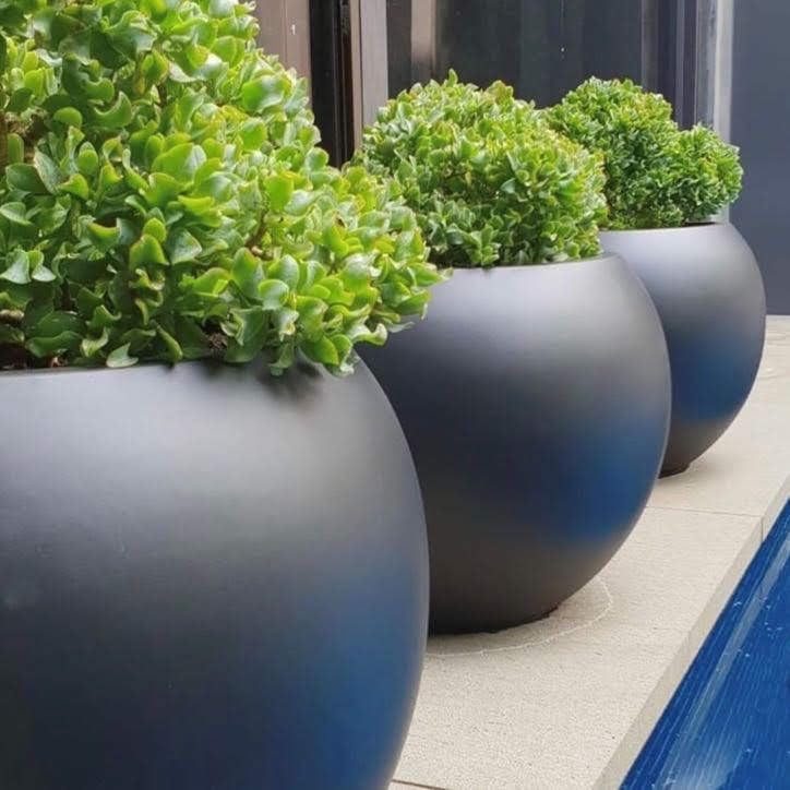 DTY Signature Mount Sherman 1-piece Fiberstone Planter for Indoor/Outdoor, Black, 10" H x 13" Dia (8" pot opening) - Small