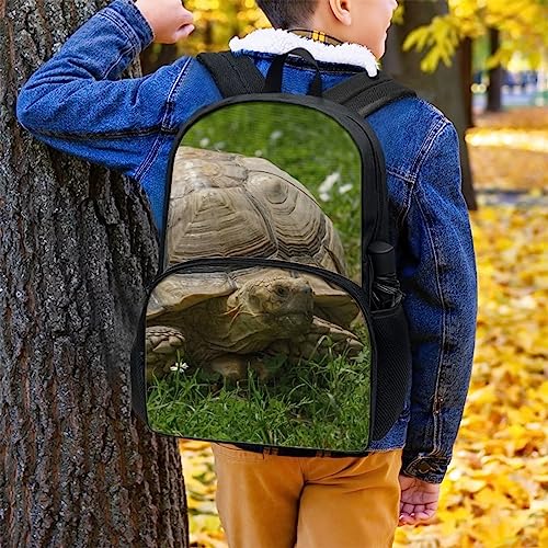 Parprinty Kids Funny Animal Tortoise Backpack for Boys Girls Comfy Padded Lightweight Sturdy Student School Backpack with Front Pocket Double Zipper 17 Inch Kids Basic Black Daypack Bookbag