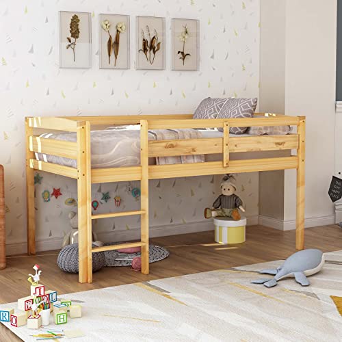 OTRIEK Twin Size Low Wood Loft Bed Frame with Ladders and Guard Rails for Boys Girls and Junior, No Box Spring Needed, Under Bed Storage (Walnut)