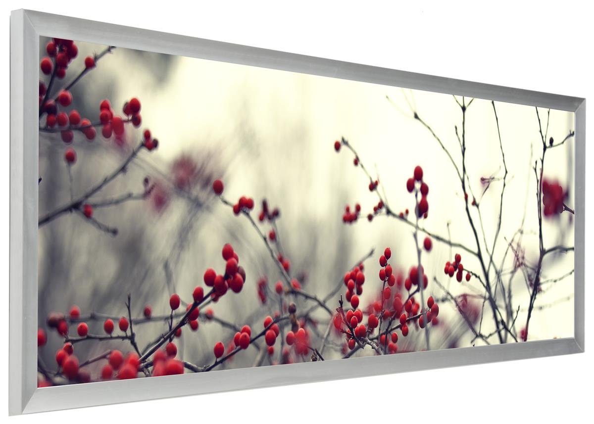 Displays2go 40 x 13.5 Panoramic Photo Frame for Wall Mount Use, 1-inch Profile, Aluminum (Silver)