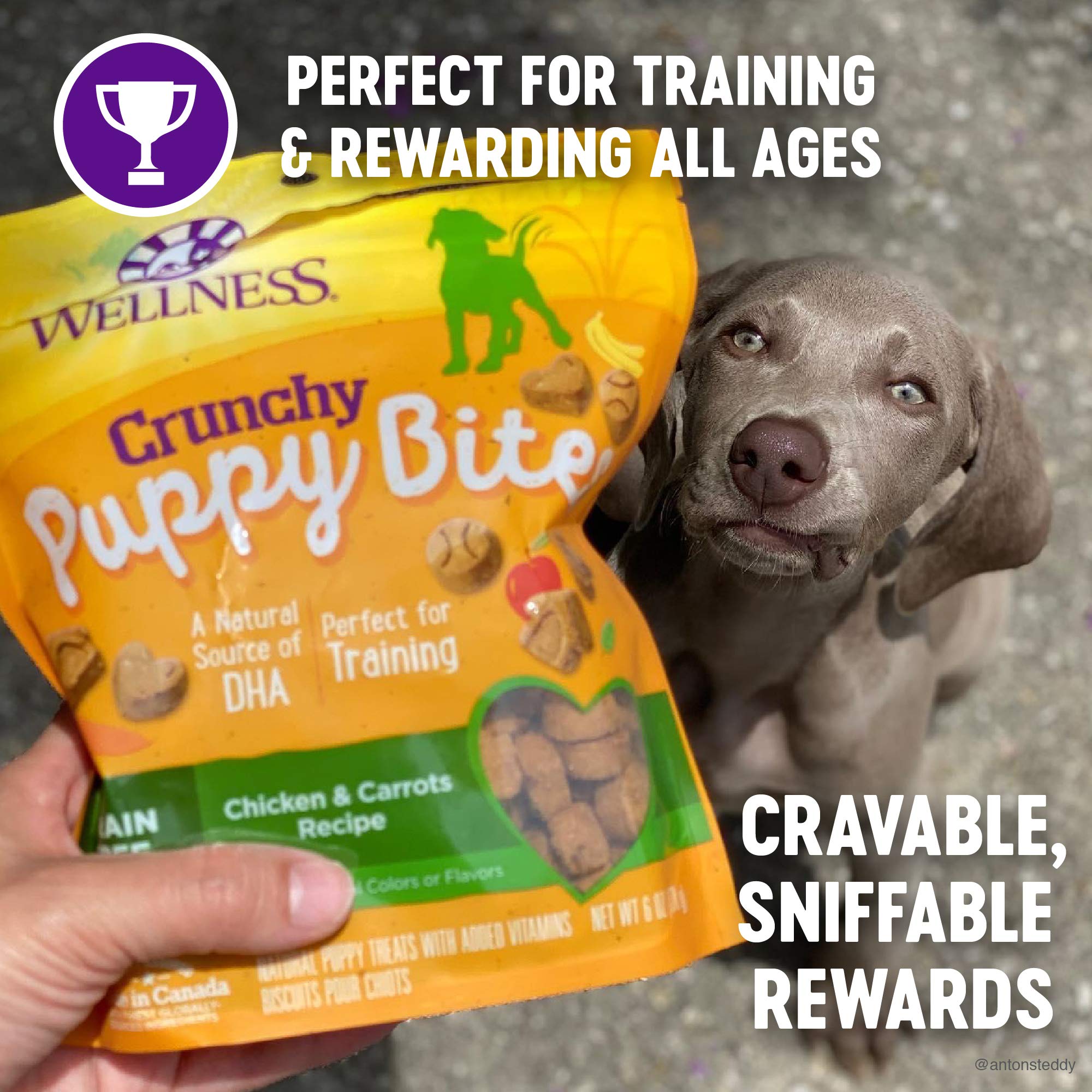 Puppy Pack: Includes Crunchy Puppy Treats And Soft Puppy Treats