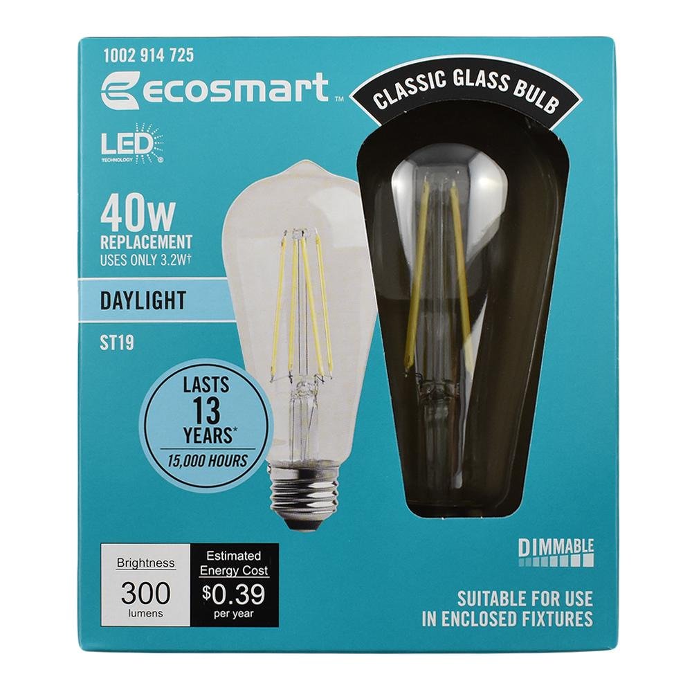 EcoSmart 40-Watt Equivalent ST19 Antique Edison Dimmable Clear Glass Filament Vintage Style LED Light Bulb Daylight (2-Pack)