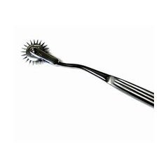 Wartenberg Stainless Steel Pinwheel - Steel Spur