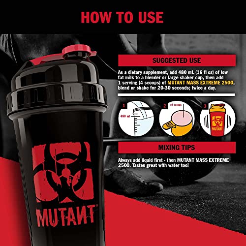 Mutant Mass Extreme Gainer 6lb Triple Chocolate and Creakong CX8 249 g Bundle