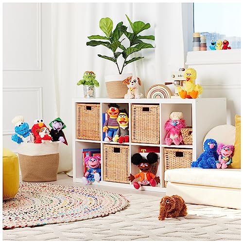 GUND Sesame Street Official Gabrielle Plush, Premium Plush Doll for Ages 1 & Up, 13β