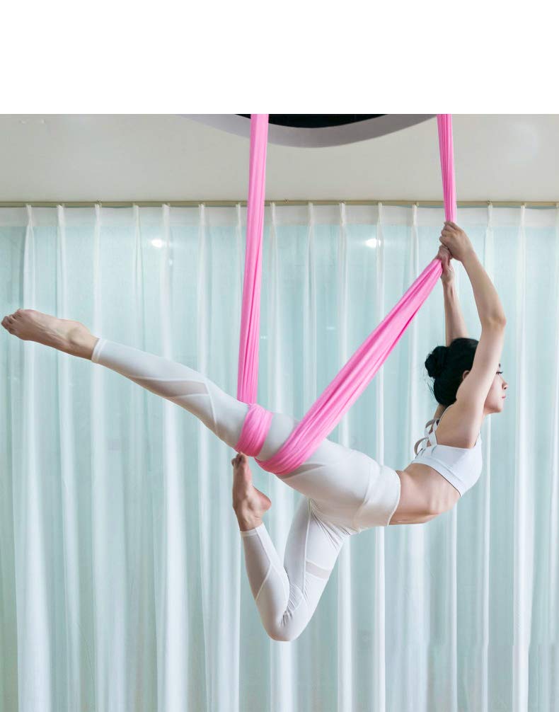 F.Life Aerial Yoga Hammock 5.5 yards Premium Aerial Silk Fabric Yoga Swing for Antigravity Yoga Inversion Include Daisy Chain,Carabiner and Pose Guide