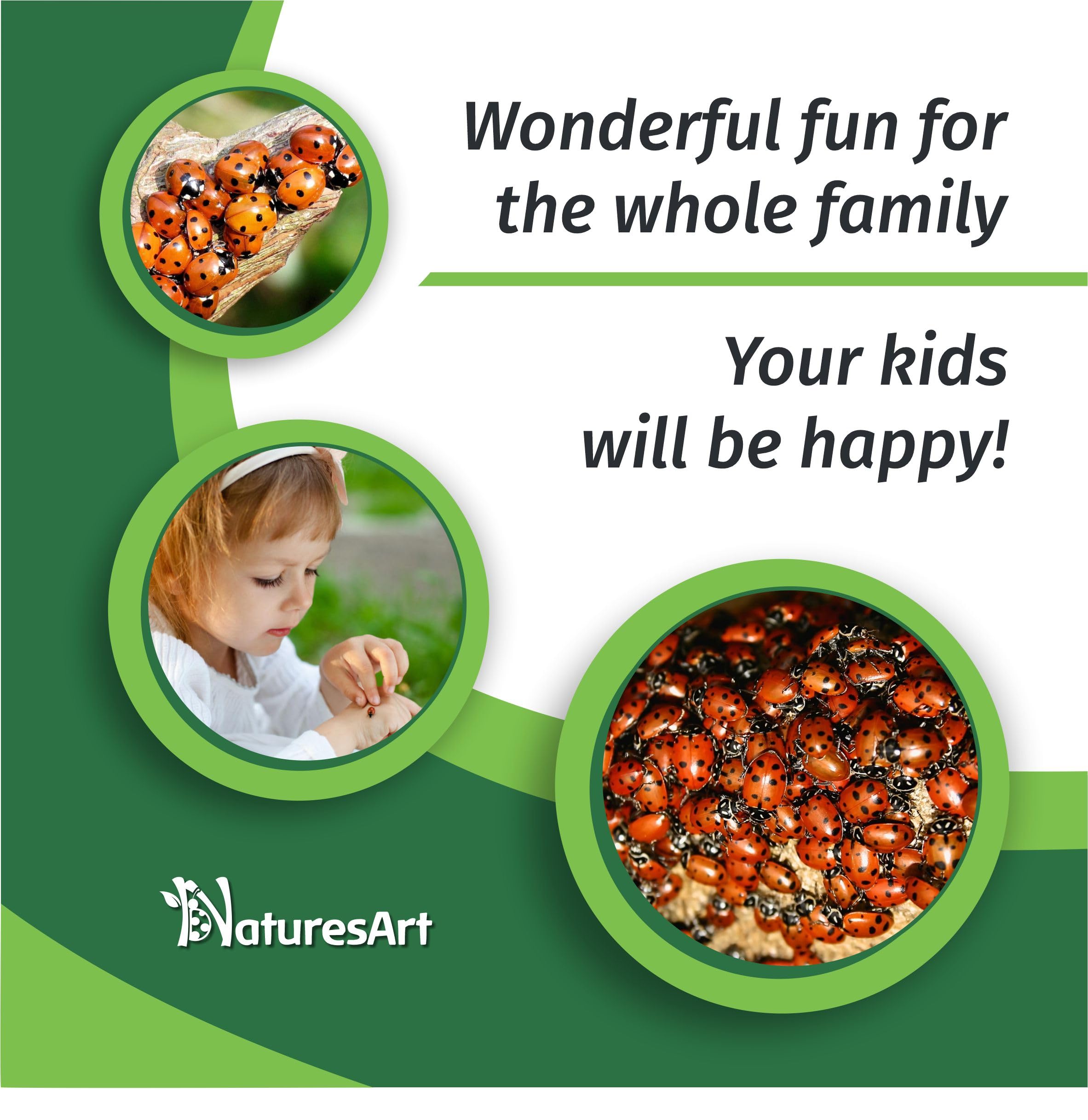 NaturesArt 1500 Live Ladybugs - Good Bugs for Garden - Ladybug - Guaranteed Live Delivery!, orange