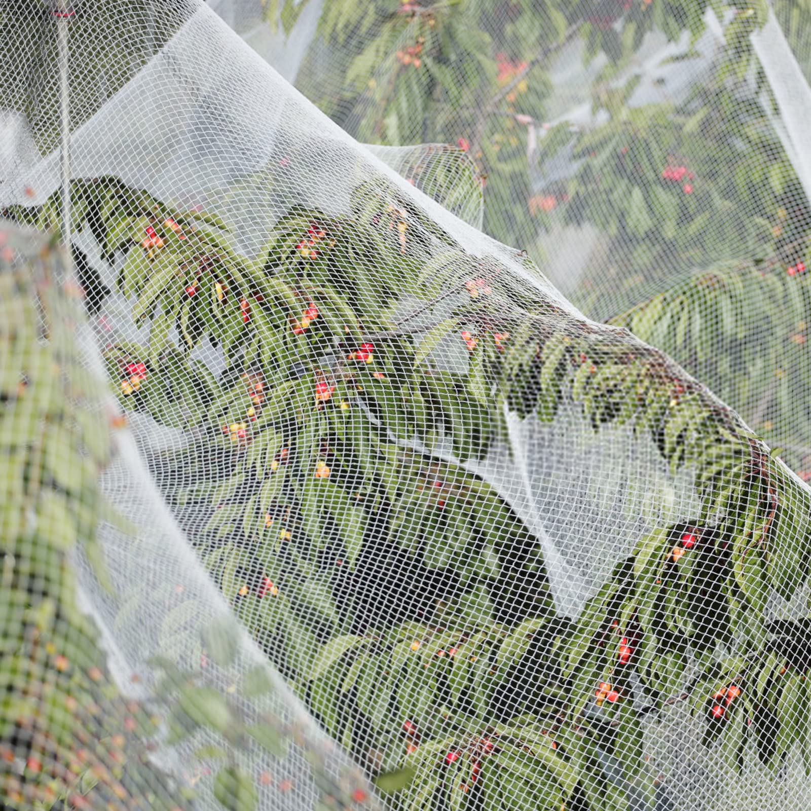 Garden Netting, Cookmaster 10x33FT Plant Covers, Ultra Fine Mesh Protection Netting for Vegetable Plants Fruits Shrubs Flowers Tree Crops, Greenhouse Row Cover Raised Bed Barrier Screen Net