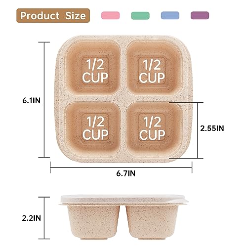rngwaper 5 Pack Bento Lunch Box,4 Compartment Snack Containers,Divided Bento Snack Box,Meal Prep, Lunch Box Kids/Toddle/Adults,Food Storage Containers for School, Work and Travel (Multicolor-1)
