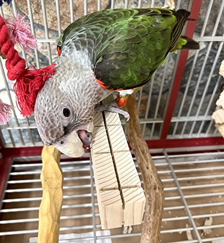Parrot Chew Stix (Parrot Chew Stix - Set of 6 Parrot Toys)